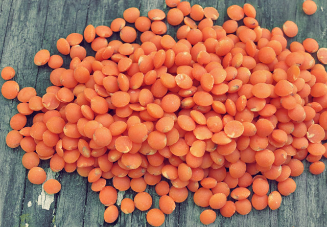 Roter Linsensalat – ganz schön sonnig zum Sommerausklang – DIE SEE KOCHT