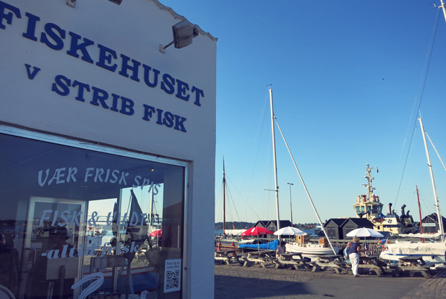 Strib Fisk Middelfart Gammelhafen – DIE SEE KOCHT