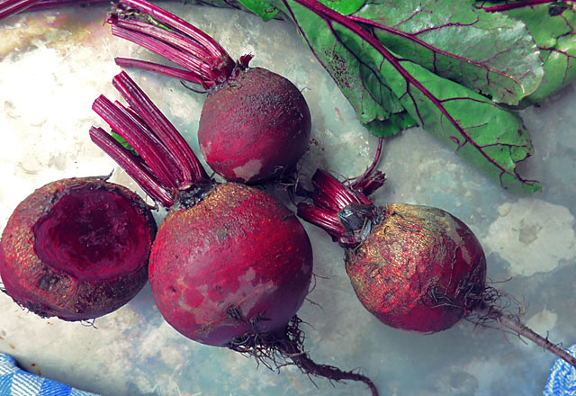 Rote Bete roh oder gekocht? Carpaccio – Rezept für beide Varianten ...