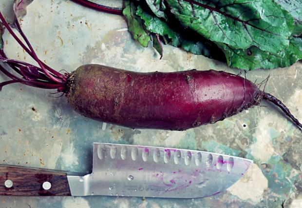 Rote Bete roh oder gekocht? Carpaccio – Rezept für beide Varianten ...