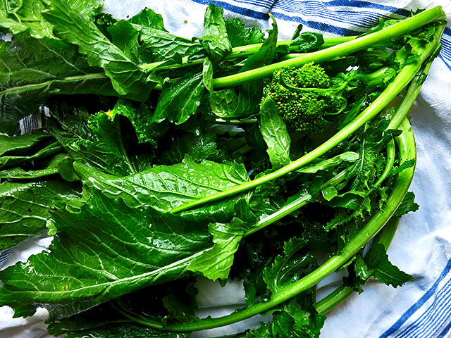 Cima di Rapa mit Pasta „Orecchiette“– Original aus Apulien – DIE SEE KOCHT