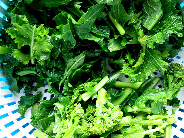 Cima di Rapa mit Pasta „Orecchiette“– Original aus Apulien – DIE SEE KOCHT