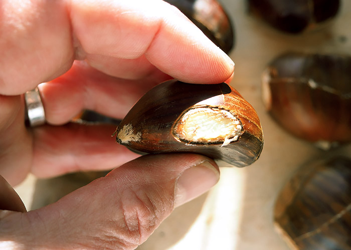 Pasta mit Maronen, Pilzen und Speck – Rezept vom Landgang ins Tessin ...