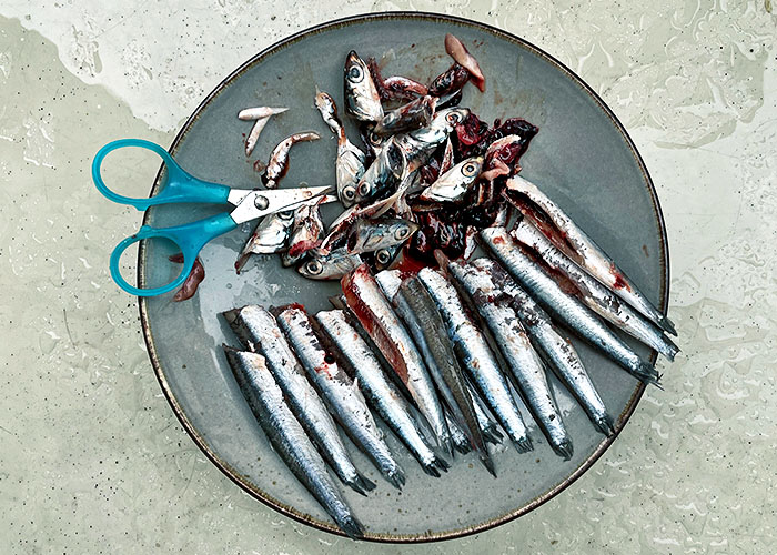 Frittierte Sardellen „Anchois Frits“ – Ein Fisch ohne Seenot? [Werbung ...